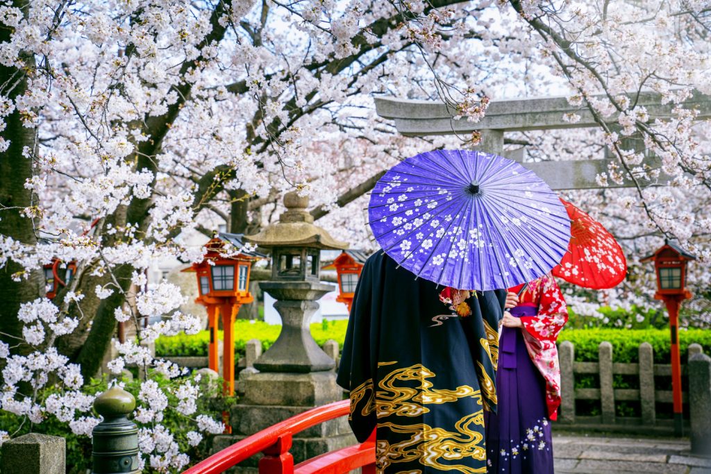 Why Travel to Japan? Discover the Fascinating Land of Cherry Blossoms ...